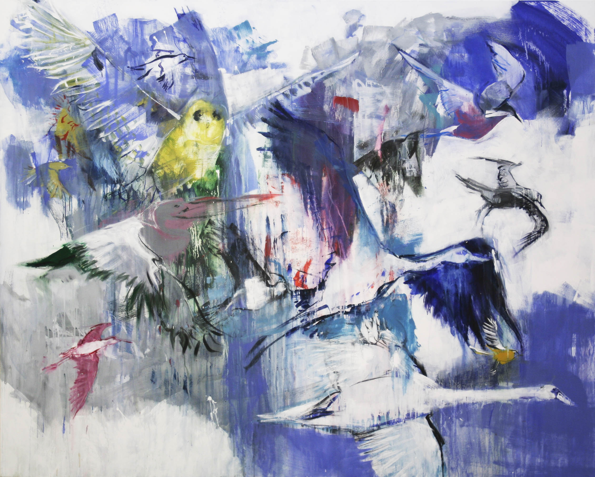 The big bird migration – THISISKUNST